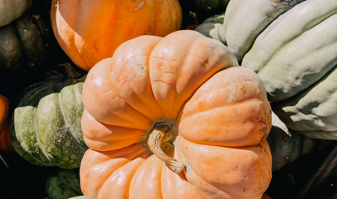 50 activités à faire cet automne pour profiter de la saison - LA VIE COZY PAR EVE MARTEL